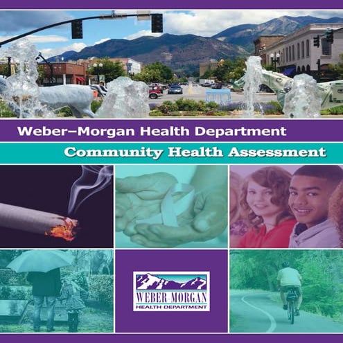 Community Health Assessment WMHD | PDF
