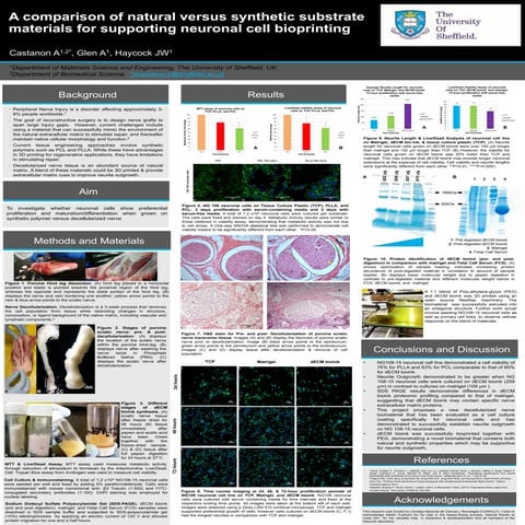 Research Poster 2013 | PDF