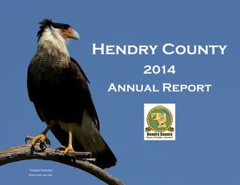 2014 Code Enforcement Annual Report | PDF