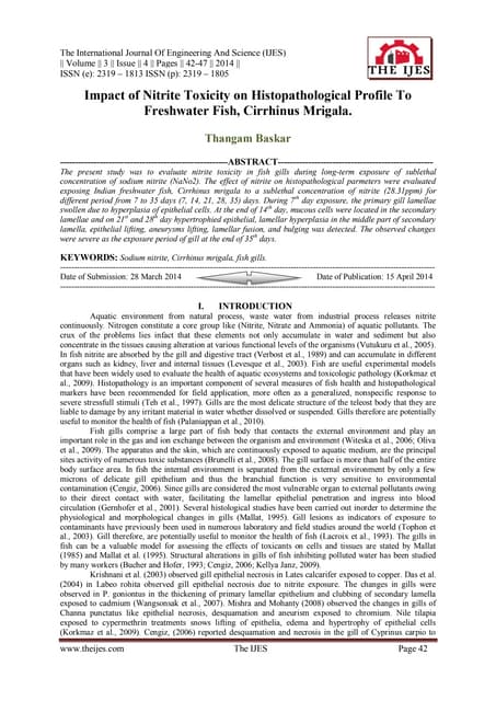 Catla Catla Introduction, Morphology & it's Characteristics. | PPT