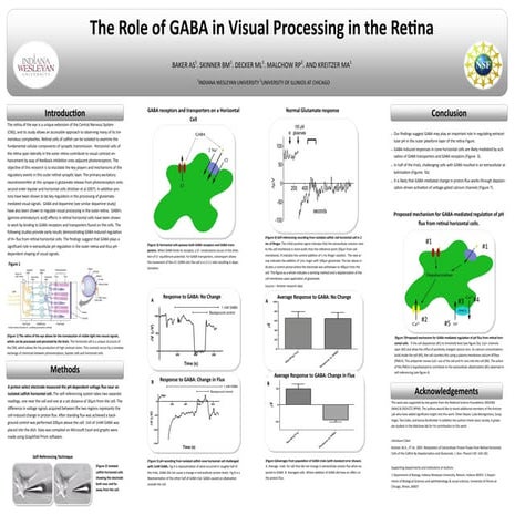 Poster Presentation GABA | PDF