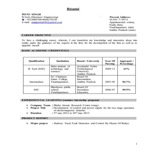 PINTU RESUME | DOCX