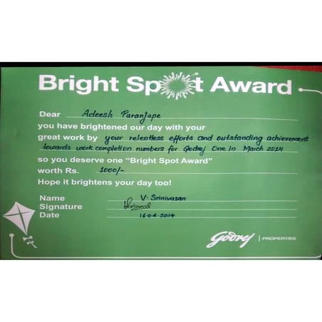 Bright Spot Award | PDF