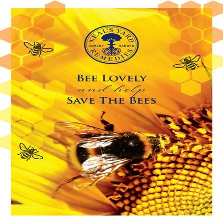 Little-Book-of-Bees-for-web | PDF