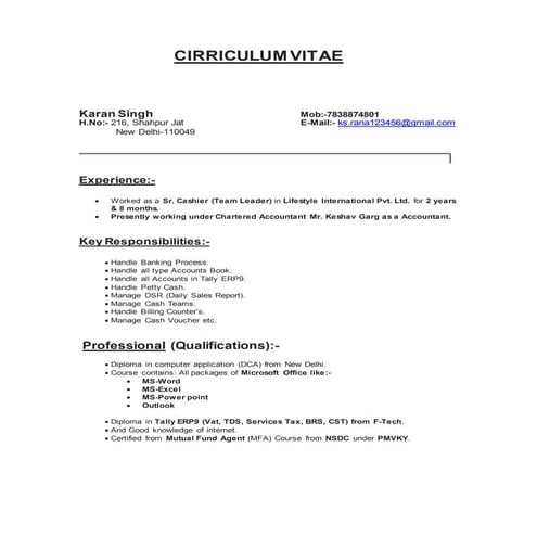 CIRRICULUM VITAE 1 | DOCX | Business | Business and Finance
