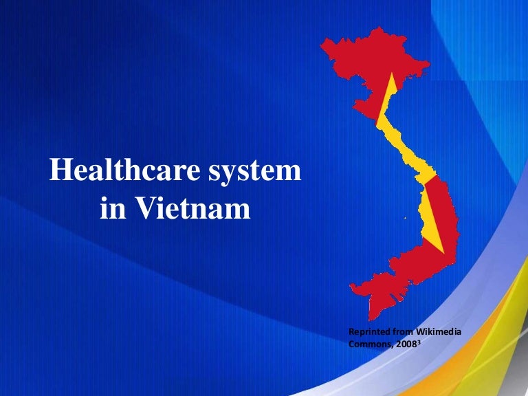 Diagram Of Vietnam Healthcare System Healthcare System In Vi