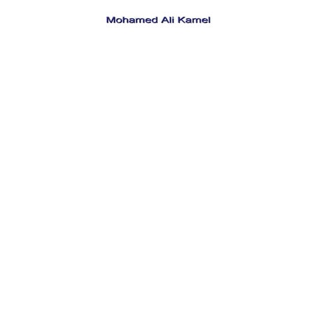 Mohamed Ali Kamel Curriculum Vitae | PDF