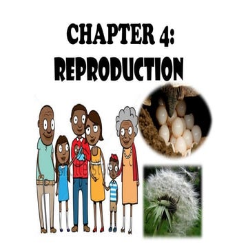 form 1 science chapter 4 reproduction.pptx