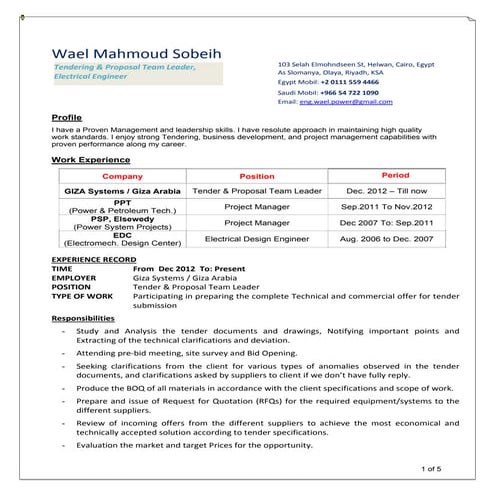 Wael Mahmoud Sobeih 11-2014 | PDF