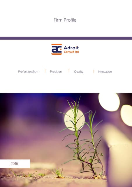 TrueMaisha Consulting Group Company Profile.pdf | Business Expos & Conferences | Events