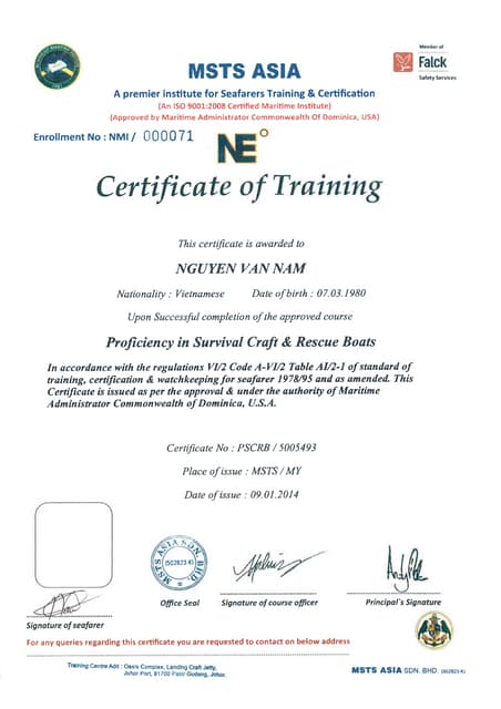 Top Set Investigation | PDF