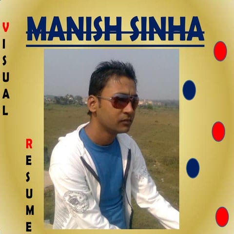 F 12 bsp2411_manish sinha_visual cv | PPTX | Resume Writing and Advice | Job Search
