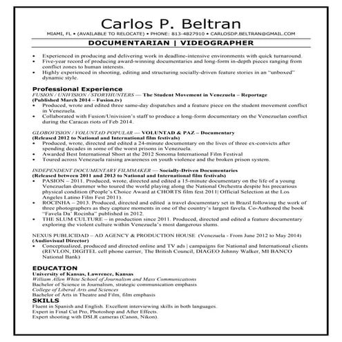 RESUME CARLOS P BELTRAN ENGLISH | PDF