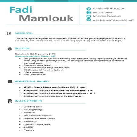 Fadis' Professional CV Modified | PDF