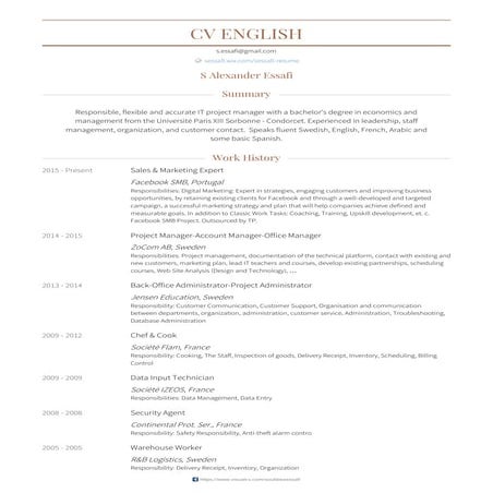 English Resume 2016 | PDF