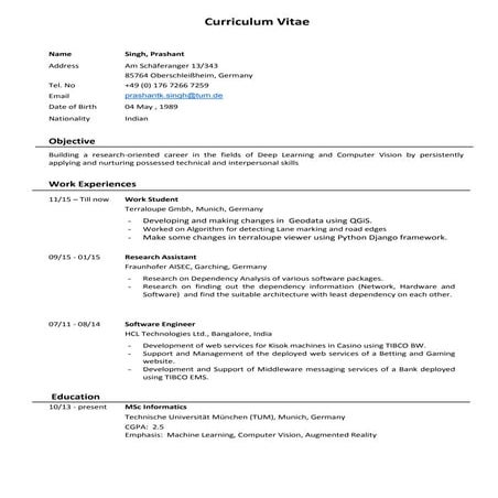 CurriculumVitae | PDF