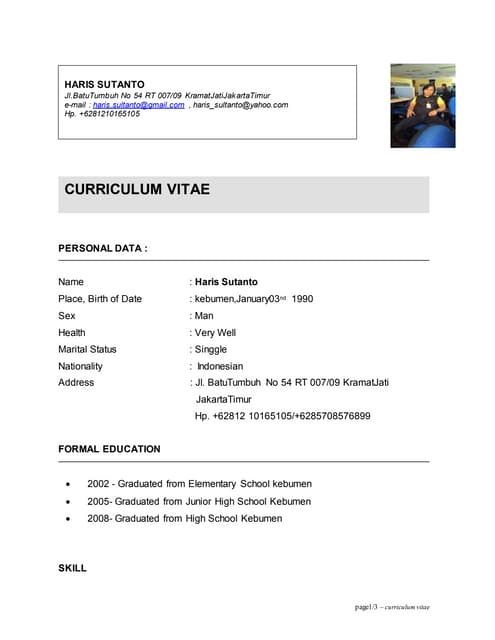 CURRICULUM VITAE GEMAYEL_Master | PDF
