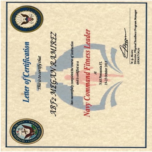 COMMAND FITNESS LEADER | PDF