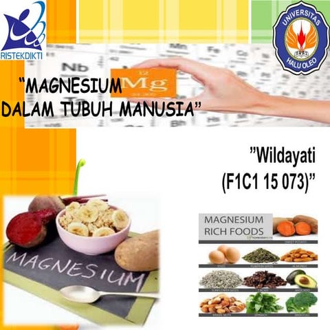 Magnesium (Mg) dalam Tubuh Manusia oleh Wildayati (F1C115073 ...