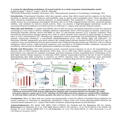 melissa Poster ISME 2012 | PPT