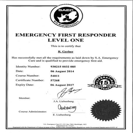 First Aid Level 1 Certificate Ronel | PDF