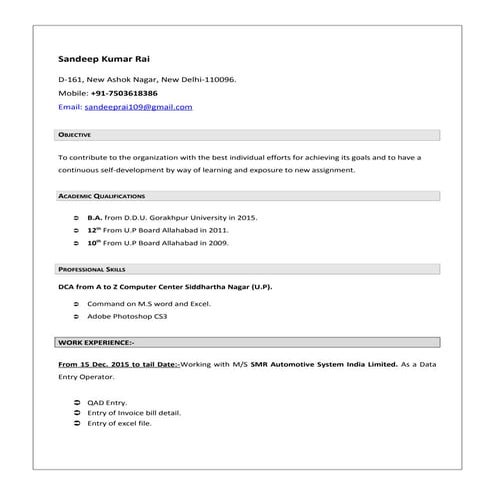 VINEESH CV (4) | DOCX