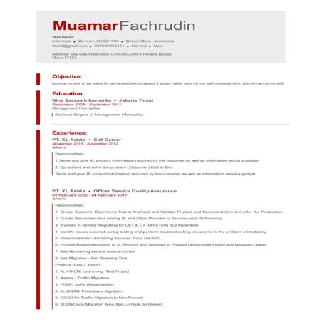 CV_Fachrudin | PDF | Business | Business and Finance