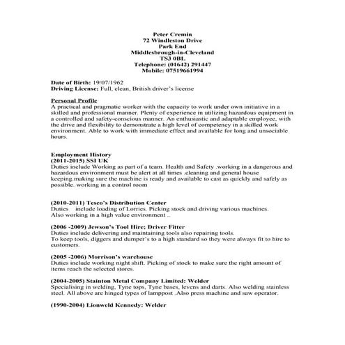 Peter Cremin's C.V | DOC