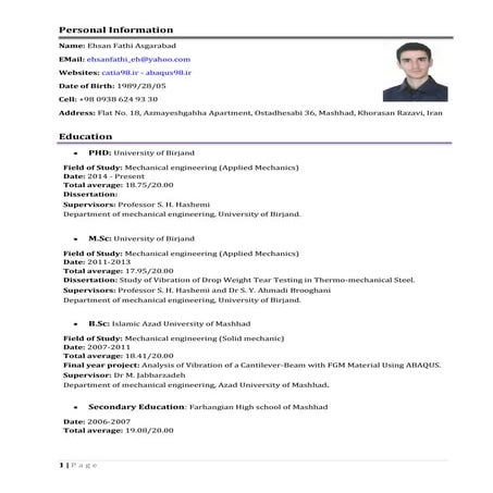 CV-Ehsan Fathi(en) | PDF