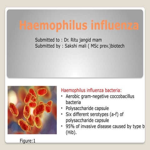 Haemophilus_influenza_A brief introduction and an overview. | PPT