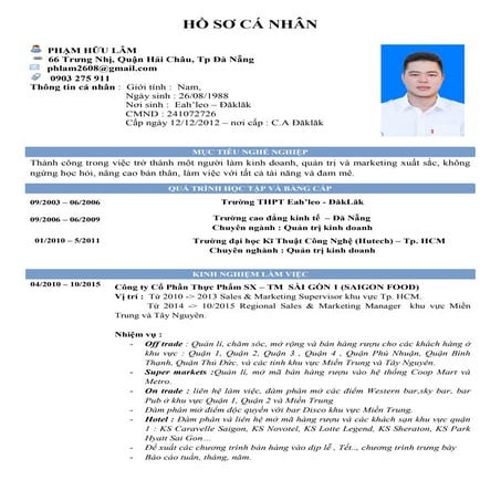 SON-HONG-PHUC-CV | PDF