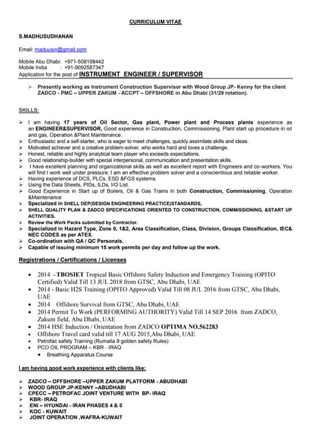 Instrument Supervisor CV | PDF