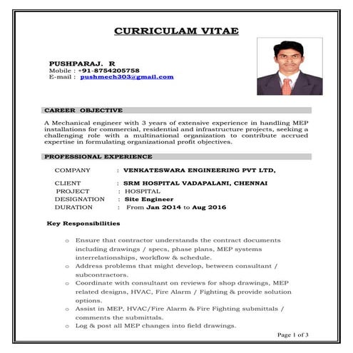 Raj resume | PDF