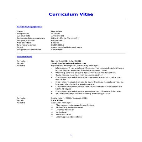 CV Alfredo 2 | DOCX