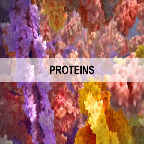 Lecture 4 - Proteins and Disease | PPTX