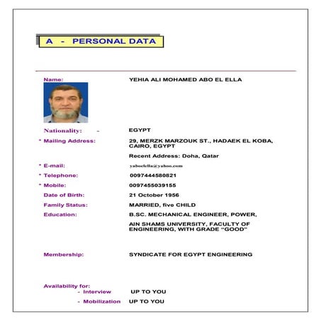 CV Engr Ashraf_Eshra_English Summery | PDF