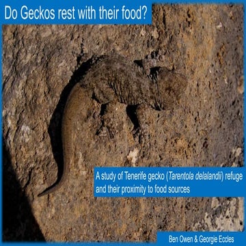 zahid usman cv (2) | DOC