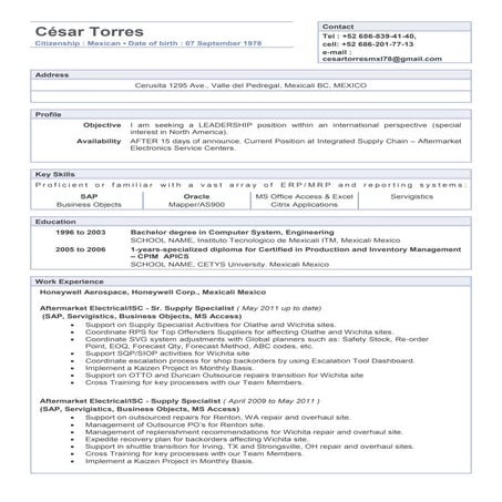 CésarTorres CV | PDF