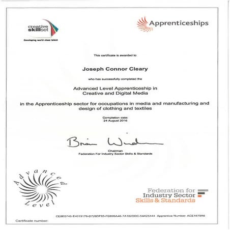 Joe Cleary Cert-Crea Dig Media | PDF