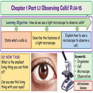 Preparing a cheek cell slide | PPTX