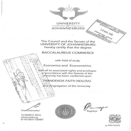 Bachelor's Degree in Economics and Econometrics | PDF