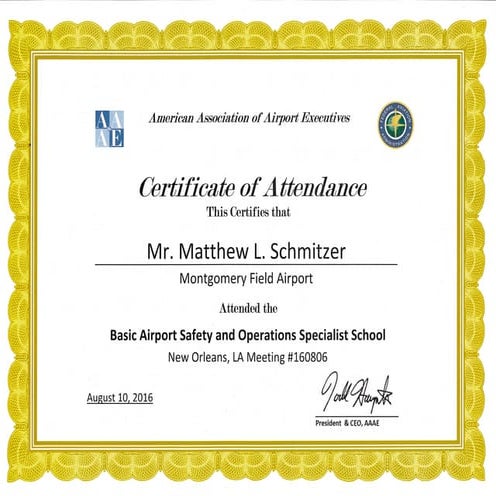 Basic ASOS Certificate | PDF