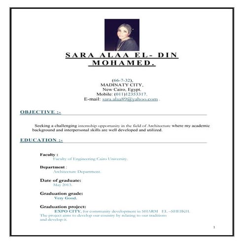 SARA ALAA EL -DIN | PDF