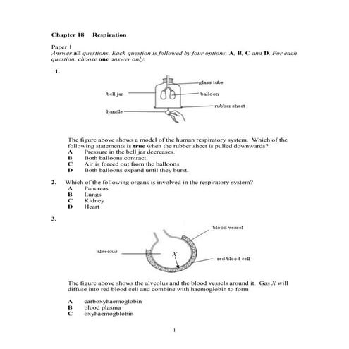 Class 11 Important Questions for Biology - Human Respiration | PDF