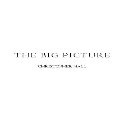 The Big Picture Sample | PDF