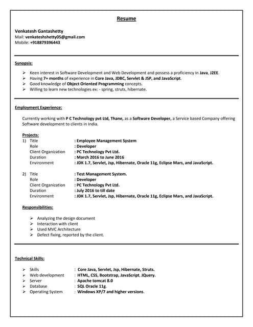 EXPERIENCE RESUME | PDF