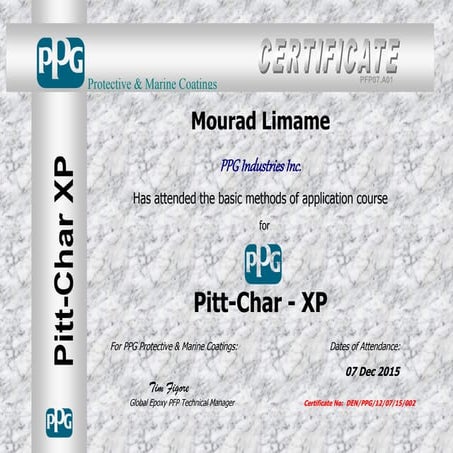 M Limame PFP-Pitt-char XP certificate | PDF