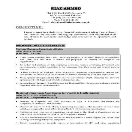 Riaz CV | DOC | Business Accounting & Finance | Business