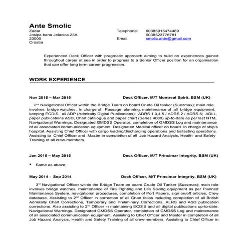CV-Ante Smolic | DOC
