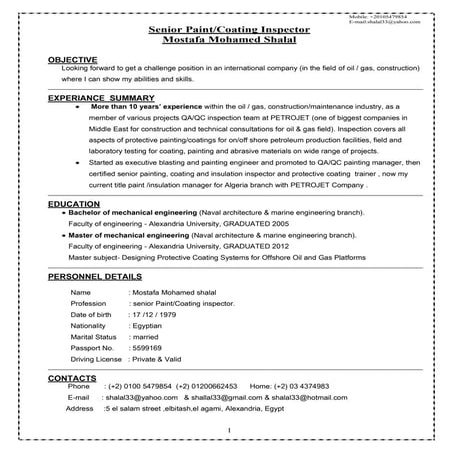 senior painting-coating-insulation inspector 2016 | PDF